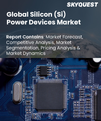 Silicon (Si) Power Devices Market Worldwide