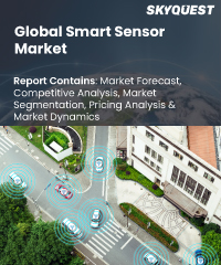 Smart Sensor Market Outlook, Share & Growth Analysis 2025–2032