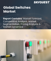 Switches Market Size - Industry Forecast 2025-2032