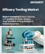 Efficacy Testing Market Forecast, Analysis, and Statistics [2032]