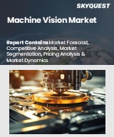 Machine Vision Market Size, Share, and Business Forecast 2025-2032