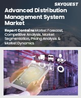 Advanced Distribution Management System Market Size & Share | Industry ...