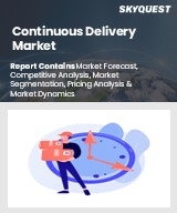Continuous Delivery Market Analysis, Growth, and Outlook [2032]