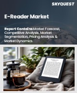 E-Reader Market Insights, Forecast, and Future Trends