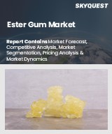 Ester Gum Market Growth, Analysis, and Competitive Forecast Report