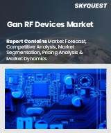Gan RF Devices Market Size, Share, and Regional Growth Forecast
