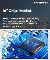 IoT Chips Market Outlook, Opportunities, and Industry Growth 2025-2032