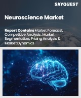 Neuroscience Market Statistics, Growth, and Forecast [2032]