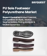 PU Sole Footwear Polyurethane Market Companies