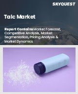 Talc Market Size, Share, Trends, and Growth Outlook