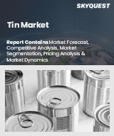 Tin Market Growth Opportunities and Industry Analysis