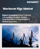 Workover Rigs Market Size, Growth, and Strategic Outlook 2025-2032