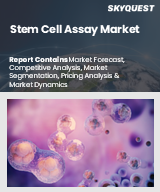Stem Cell Assay Market Size |Growth Outlook [2032]