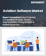 Aviation Software Market Share, Size, and Competitive Outlook