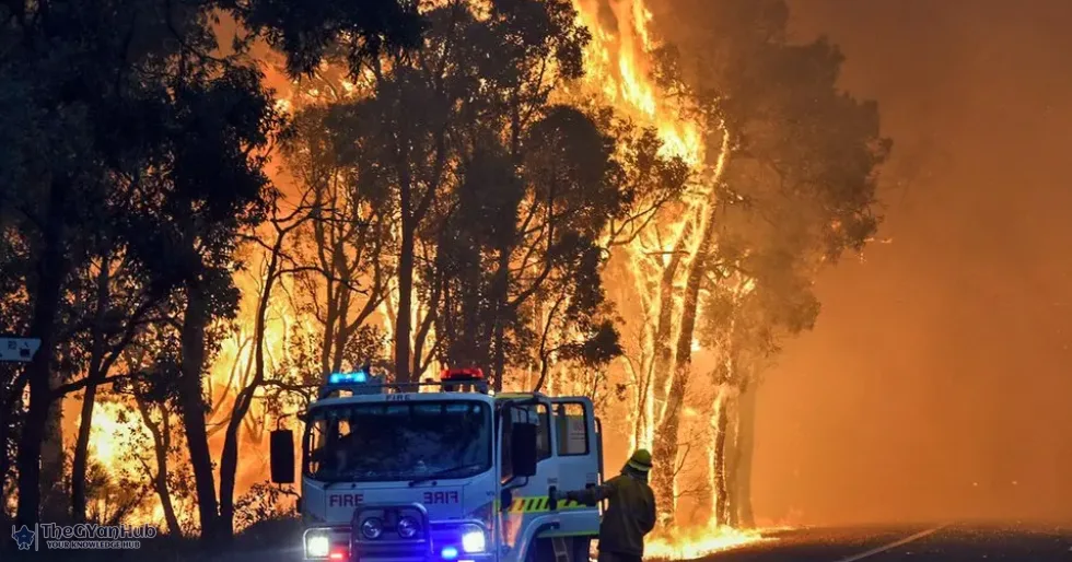 Massive Wildfire Forces Thousands to Evacuate in Western Australia