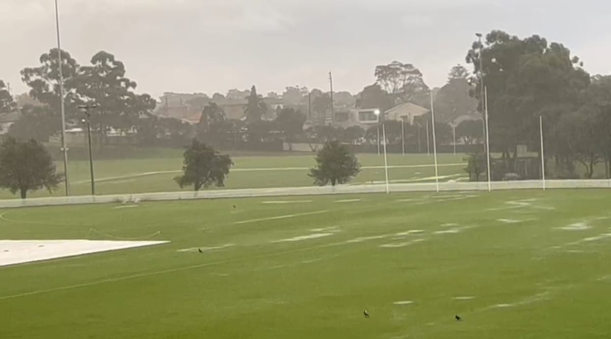 St George AFC Dragons