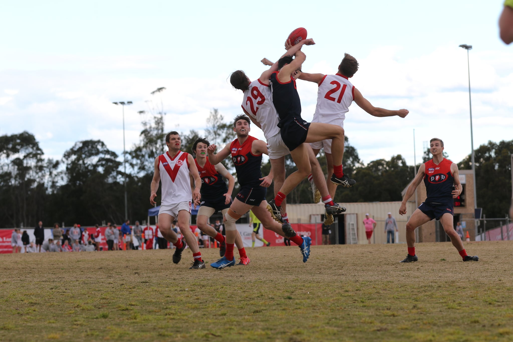 St George AFC | The Saturday Summary- Round 6