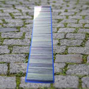 Pattamadai Hand woven Bandhi Pai | Pandi Pai | Pandhi Pai | Panthi Pai ...