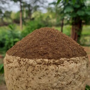 Karma Goushala Natural Organic Pure Desi Cow Dung Ghana Jeevamrutham ...