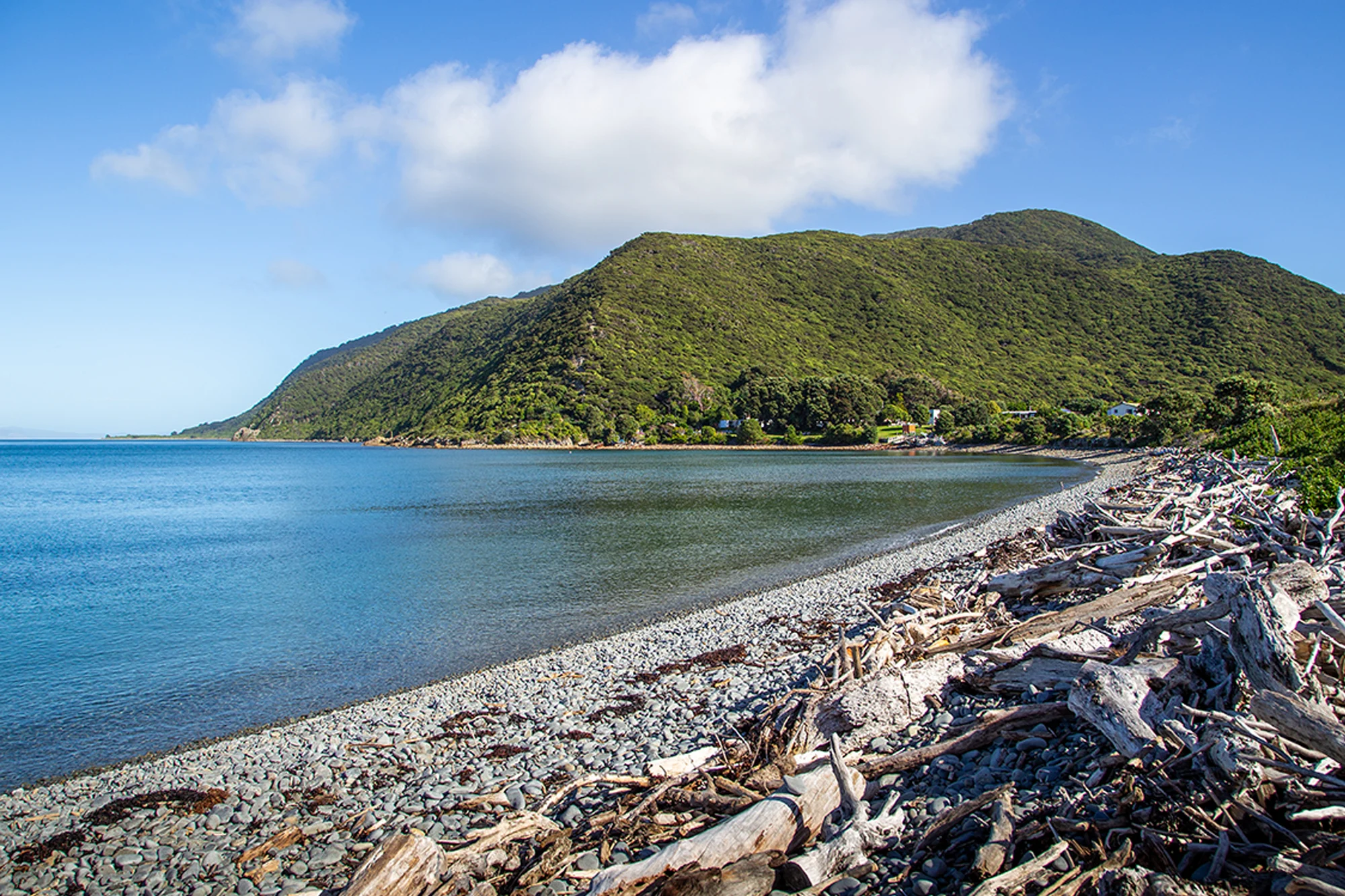 Kapiti Island Kiwi Spotting - Premier Holidays