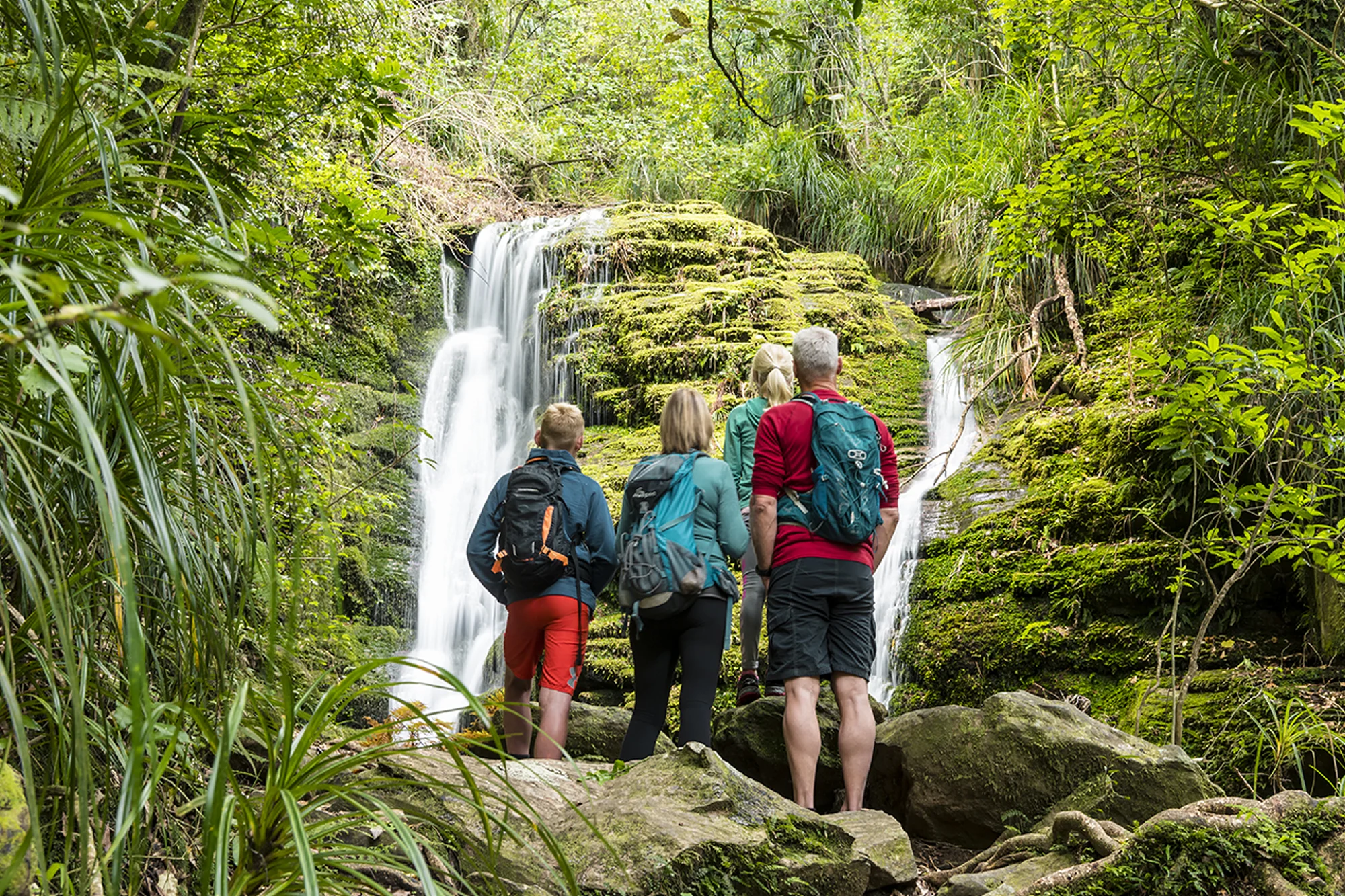 Independent Queen Charlotte Track Walk - Premier Holidays