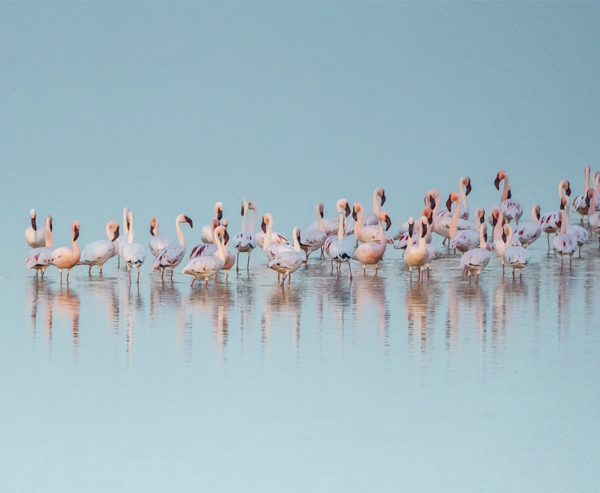 Namibia Highlights - Premier Holidays