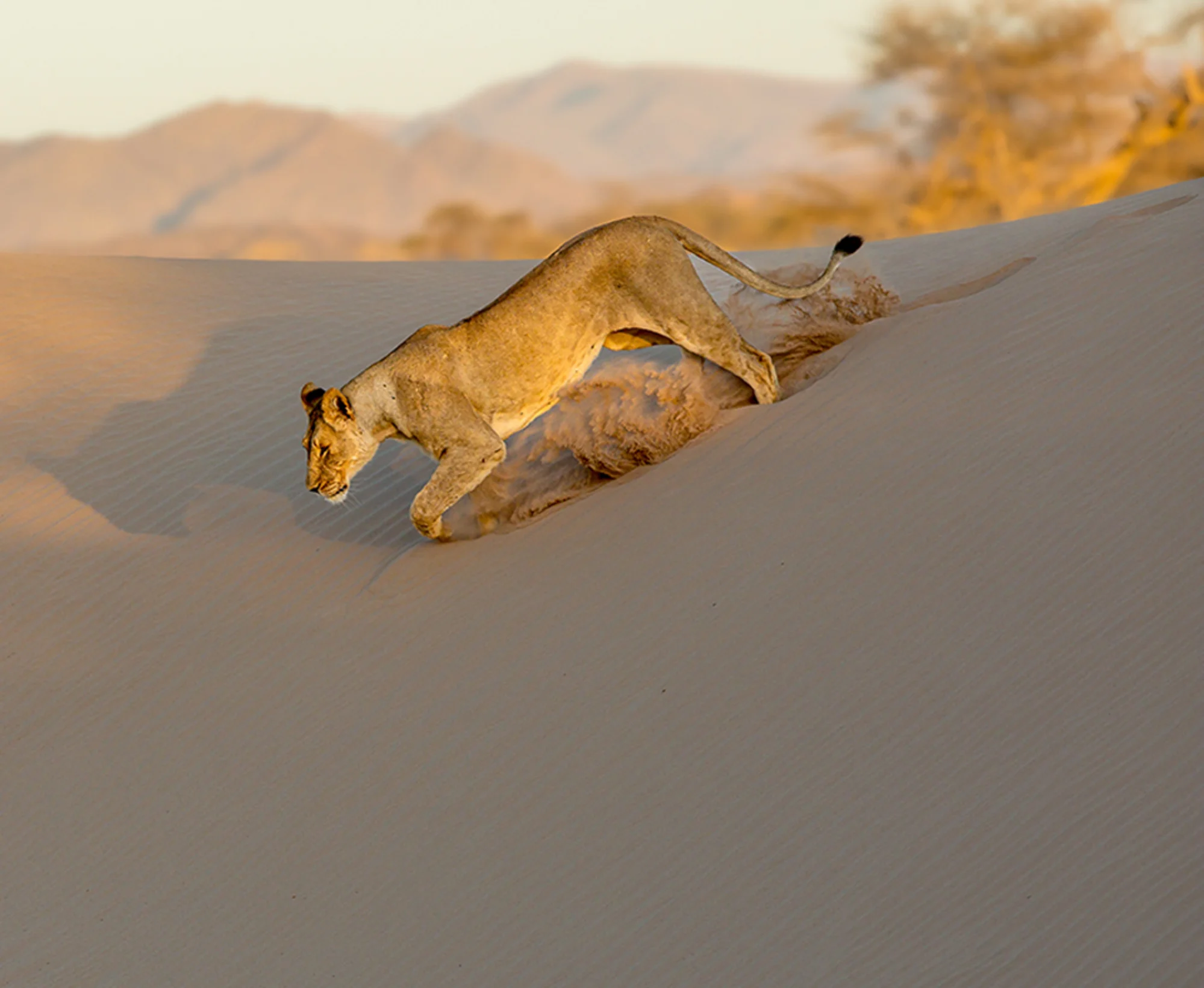Namibia Highlights - Premier Holidays