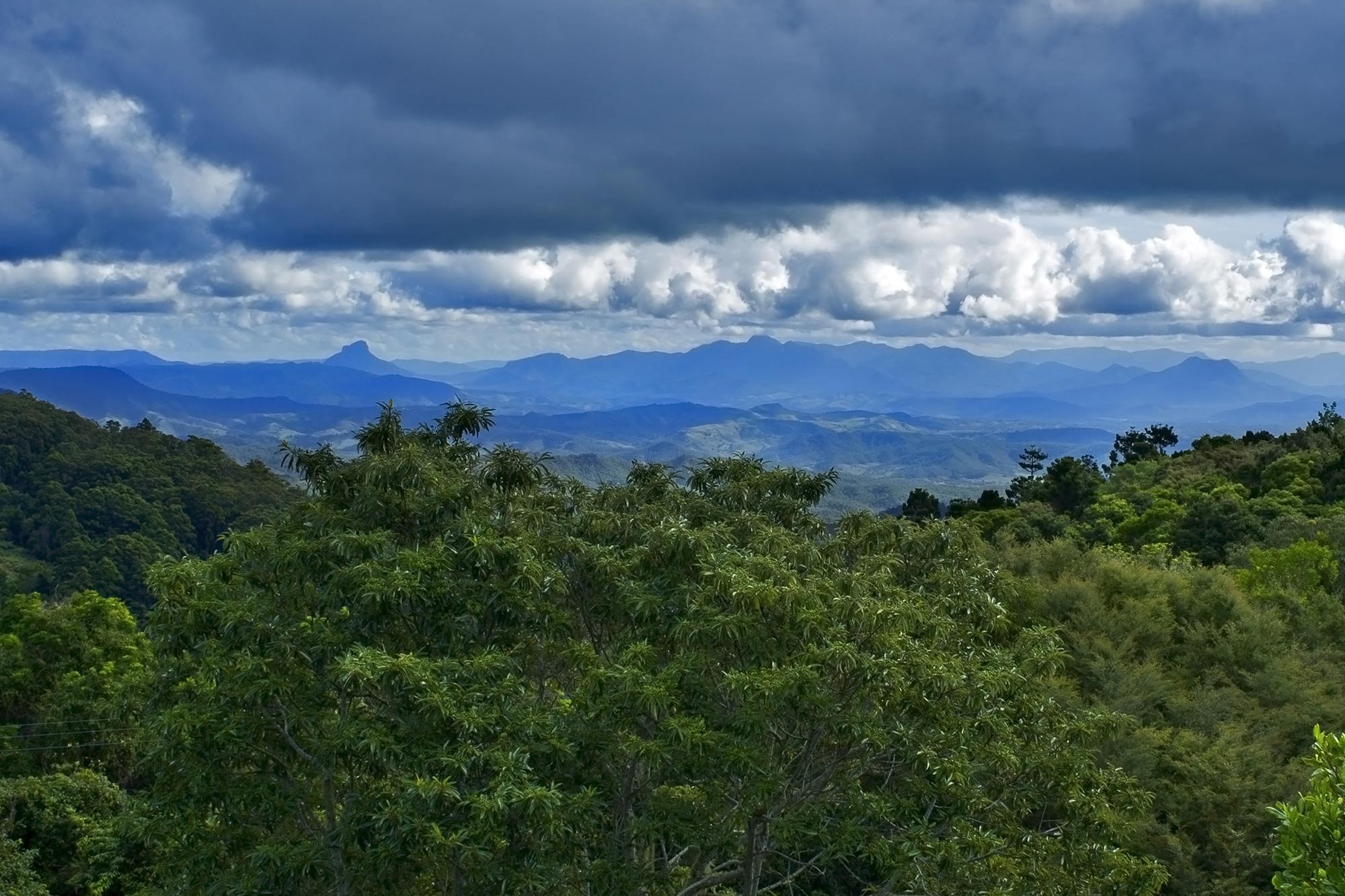 Lamington National Park - Premier Holidays