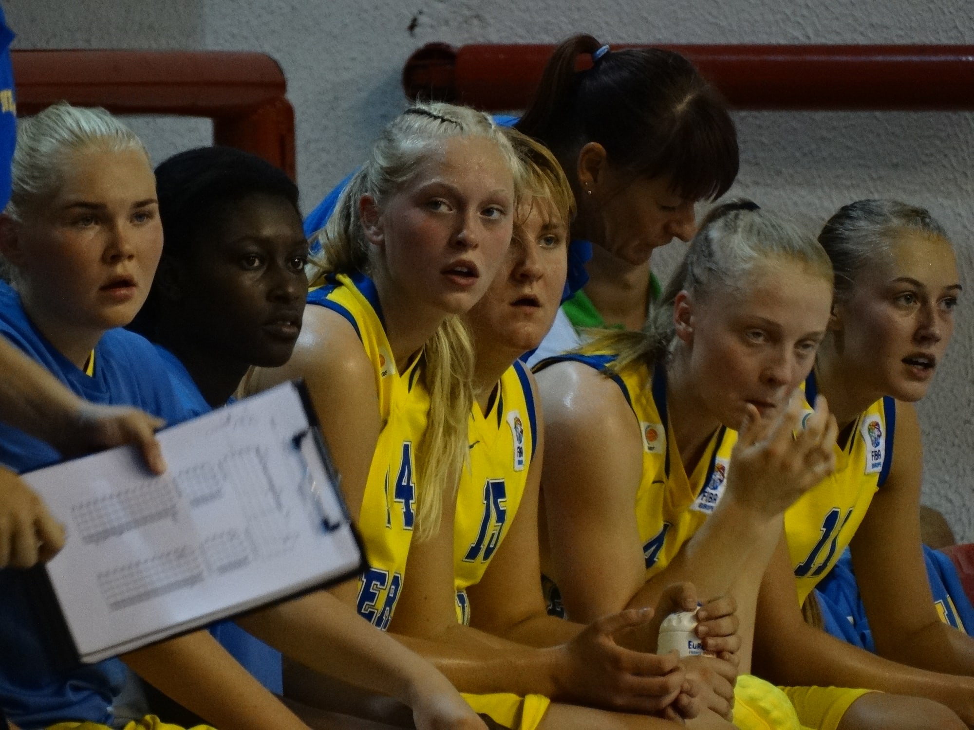 Lundquist to lead Sweden’s top flight return bid | FIBA Basketball