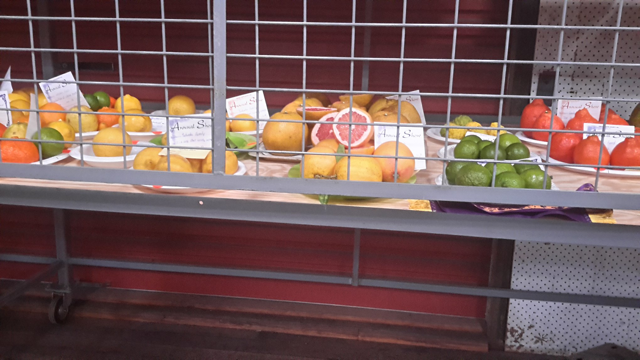 Gatton Show · EdgeGuides