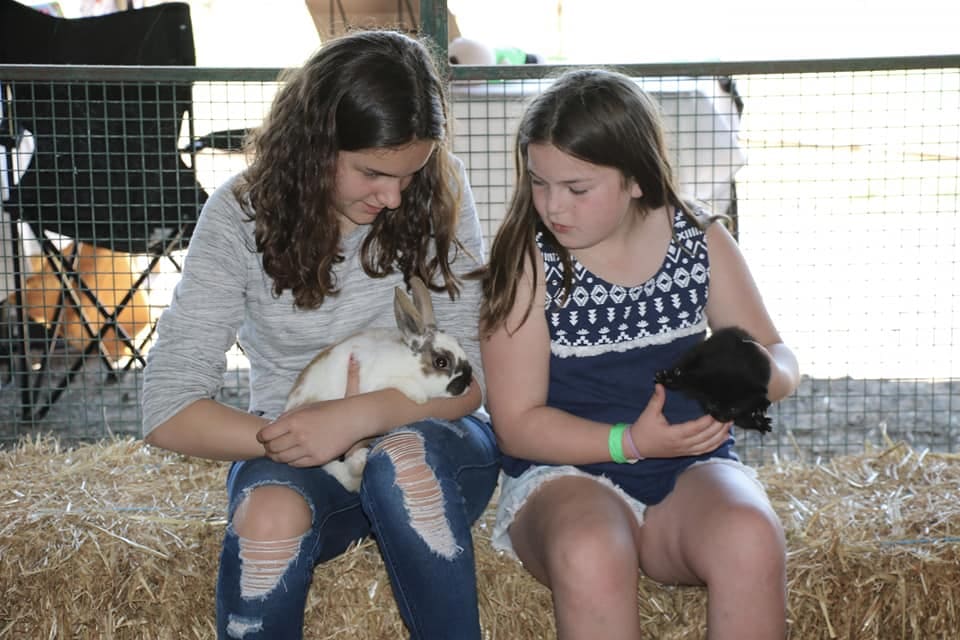 EdgeGuides · EdgeGuides