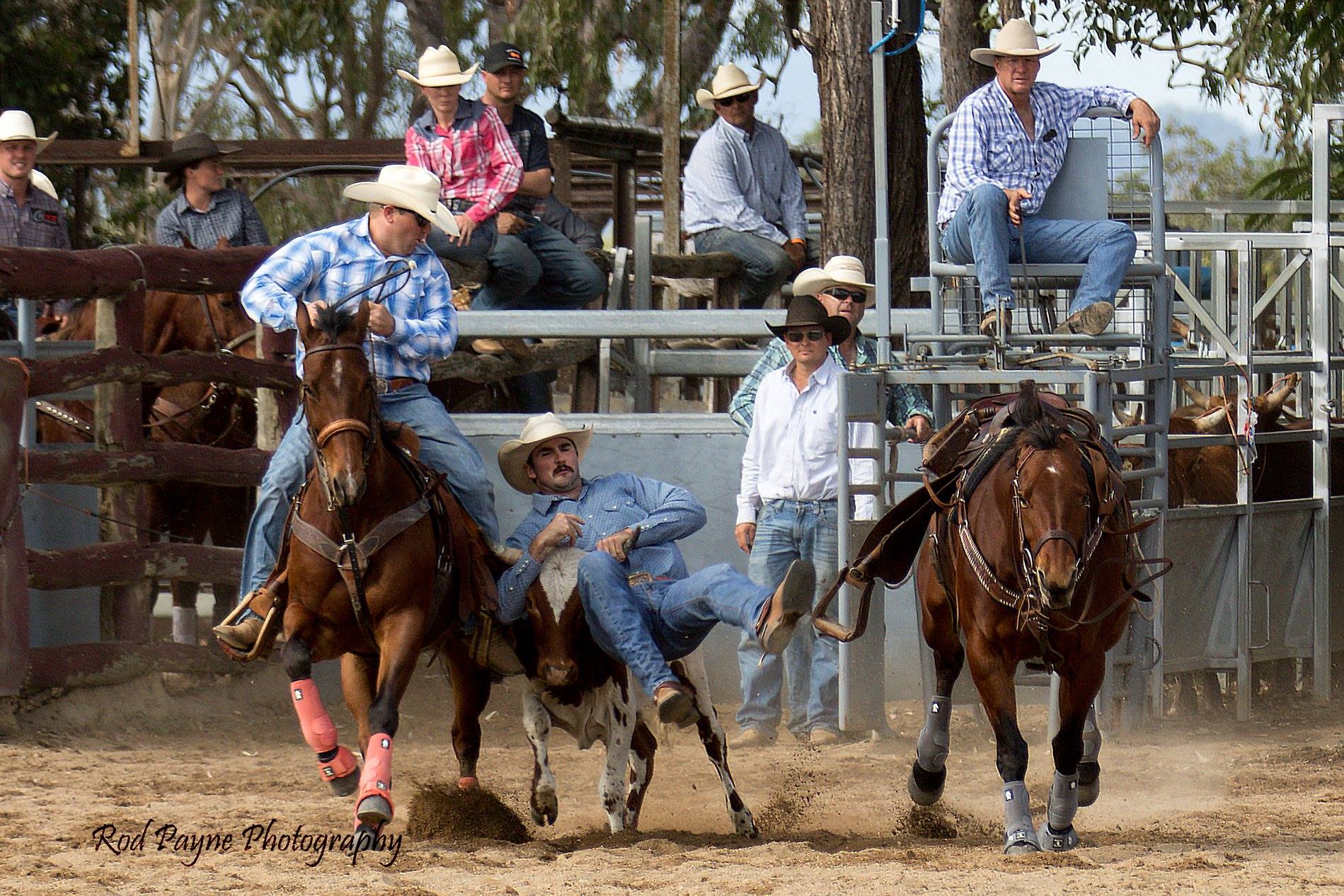 Mareeba Rodeo · EdgeGuides