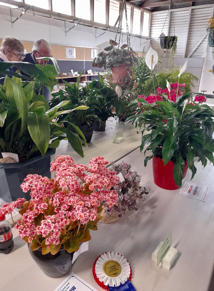 Murtoa A&P Show · EdgeGuides