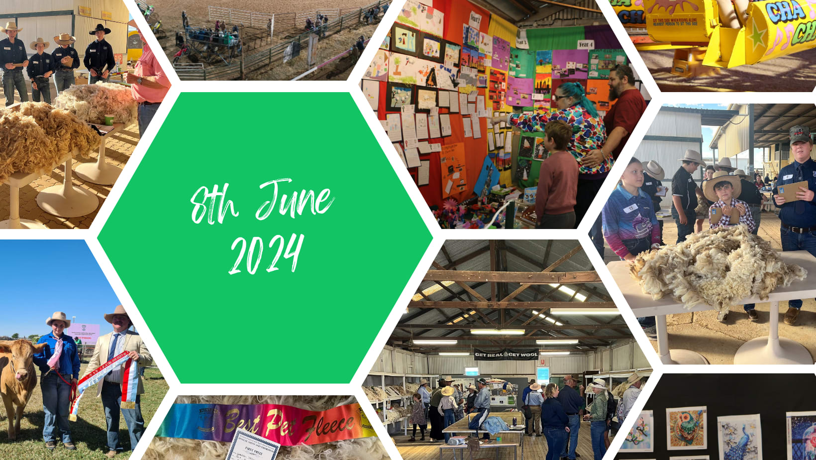 WINTON SHOW! · EdgeGuides