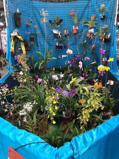 Mossman Show · EdgeGuides