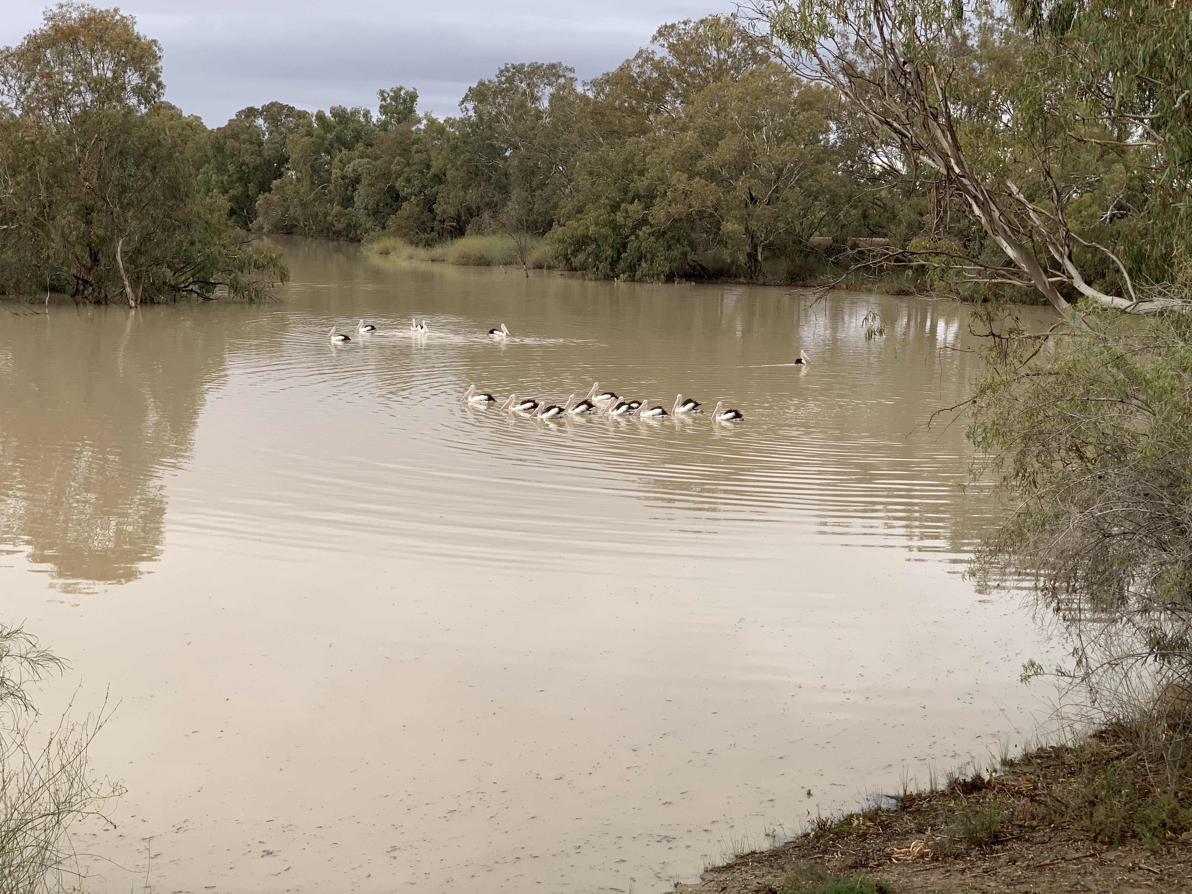 Menindee Lakes · EdgeGuides