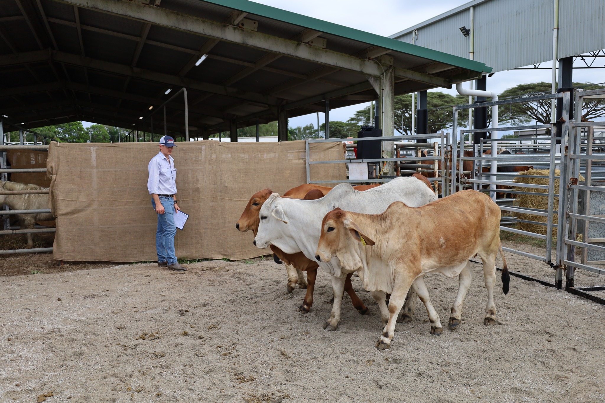 Ingham Show · EdgeGuides