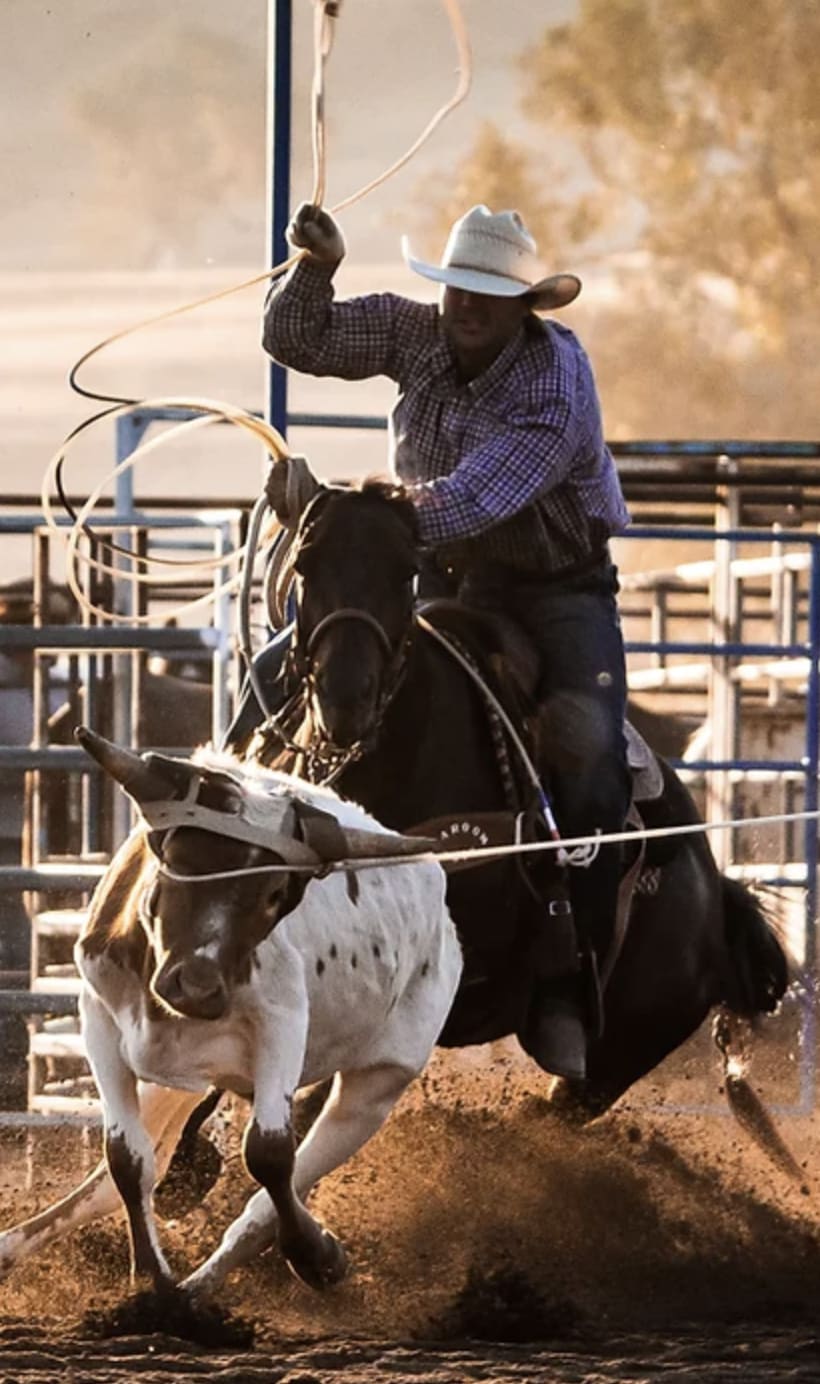 MERRIJIG RODEO · EdgeGuides