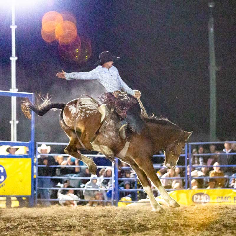 Gympie Rodeo · EdgeGuides