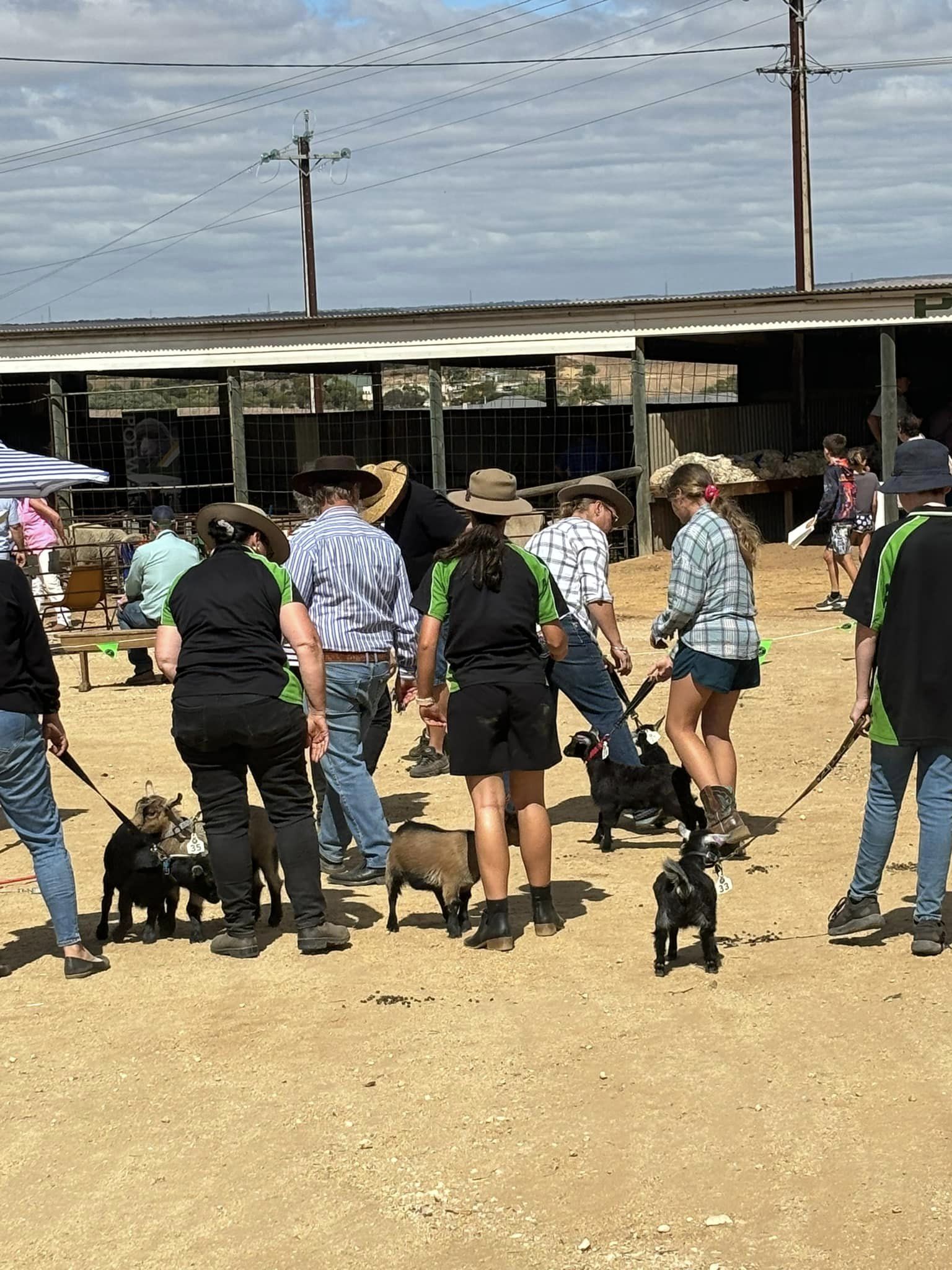 Mannum Show · EdgeGuides