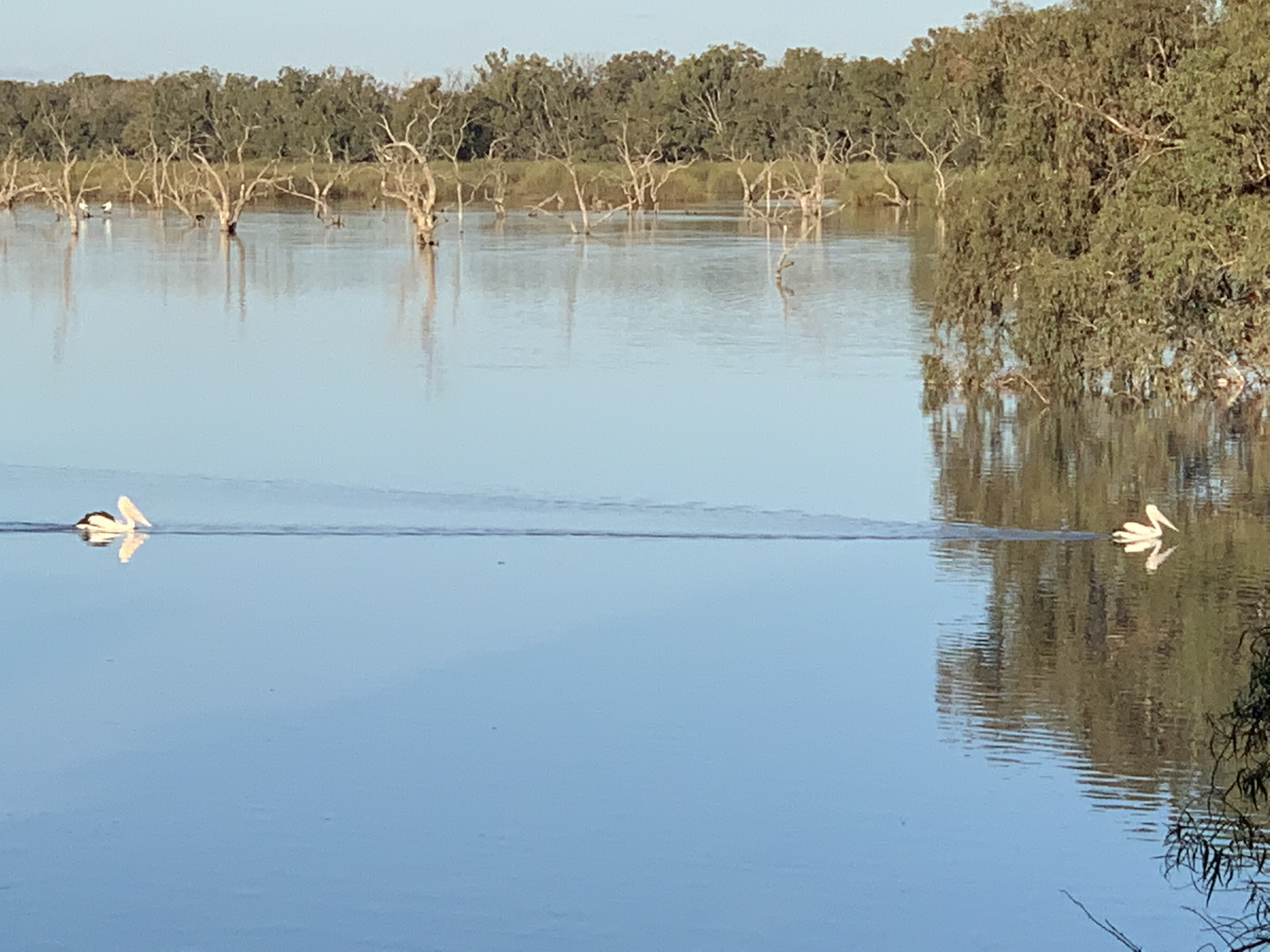 Menindee Lakes · EdgeGuides