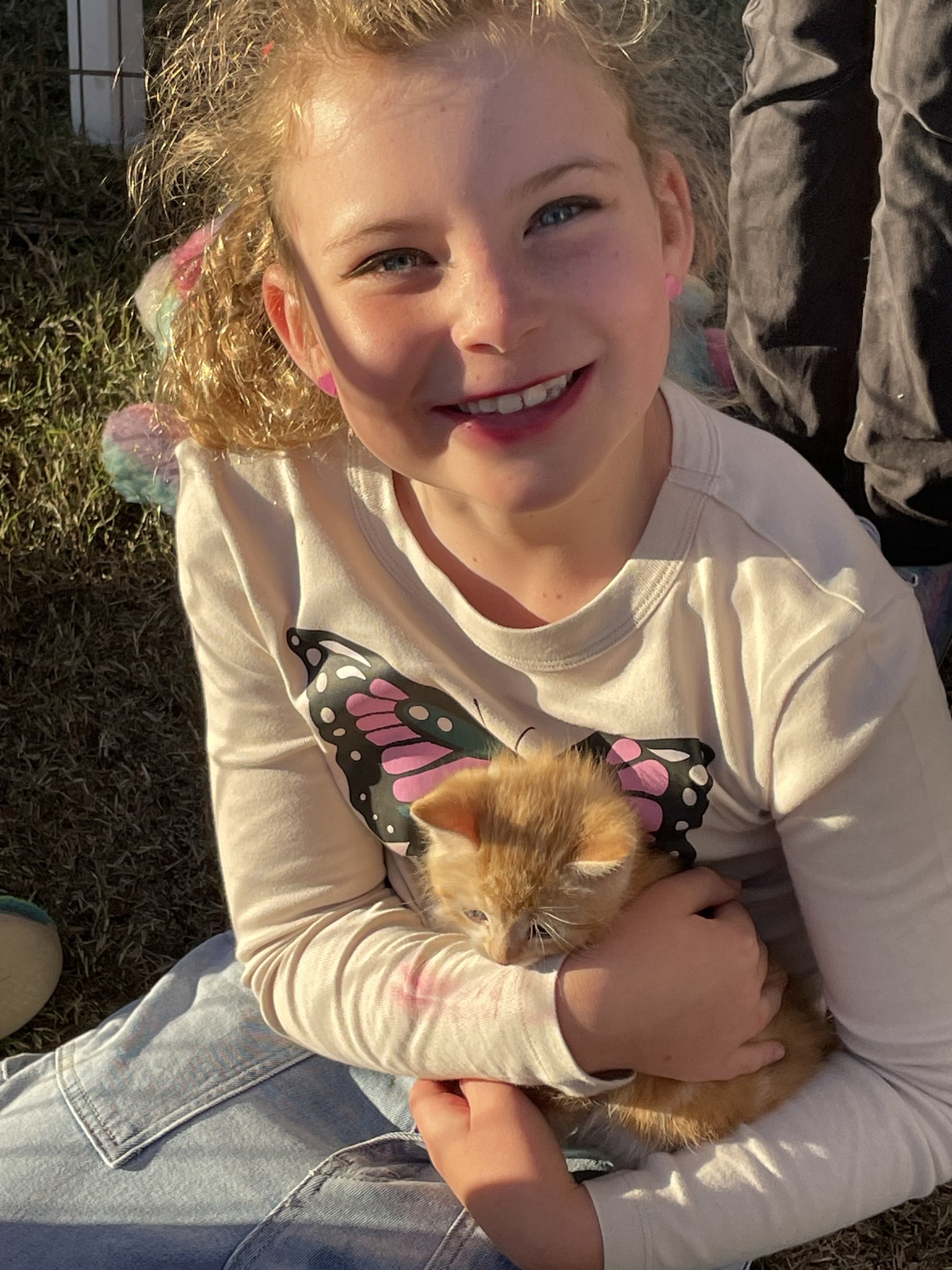 Springsure Show · EdgeGuides