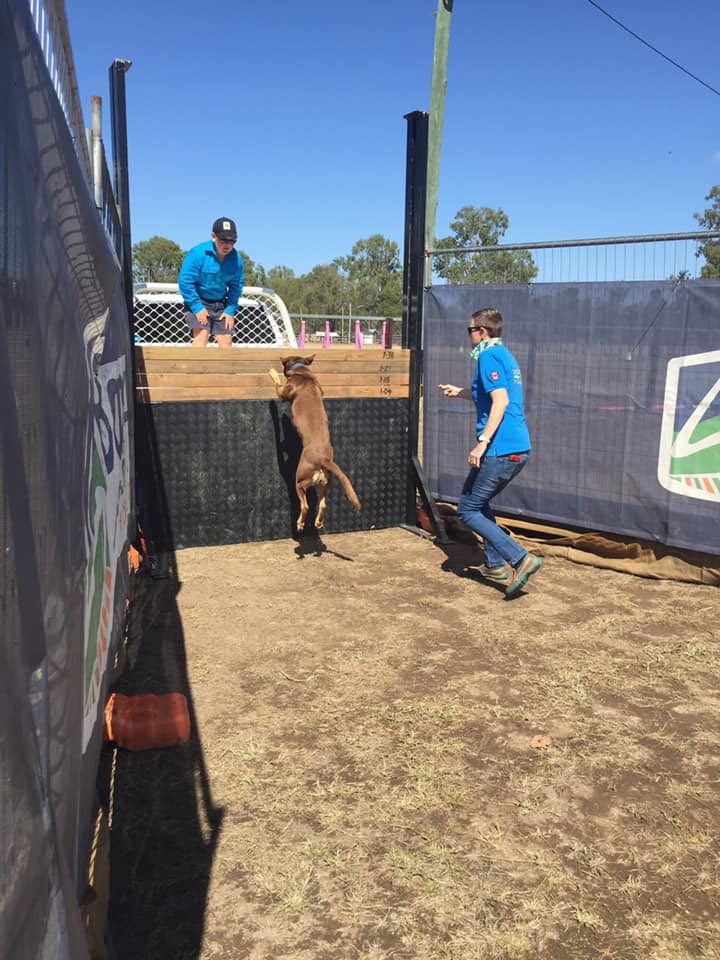 Wowan Show · EdgeGuides