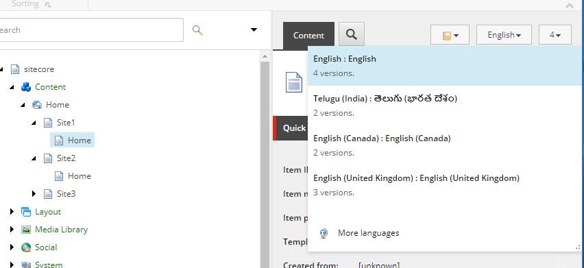 Sitecore Powershell Script To Remove All Language Versions Except One