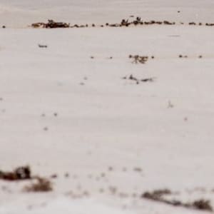 What is the origin of the last name Dang?