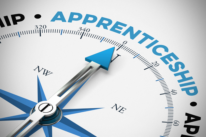 Apprenticeships Explained Part 1 | News & Updates