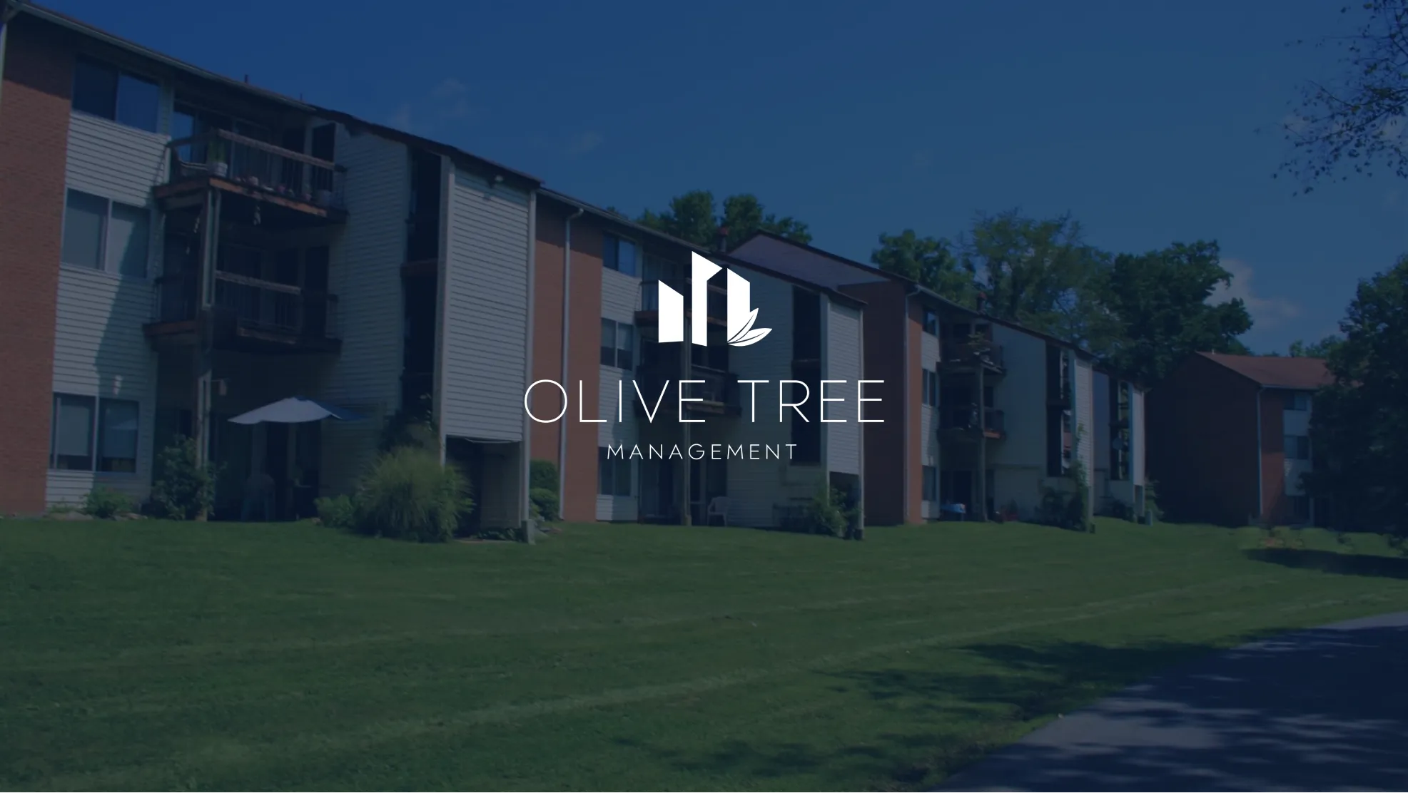 Olive Tree case study: Efficient investment management