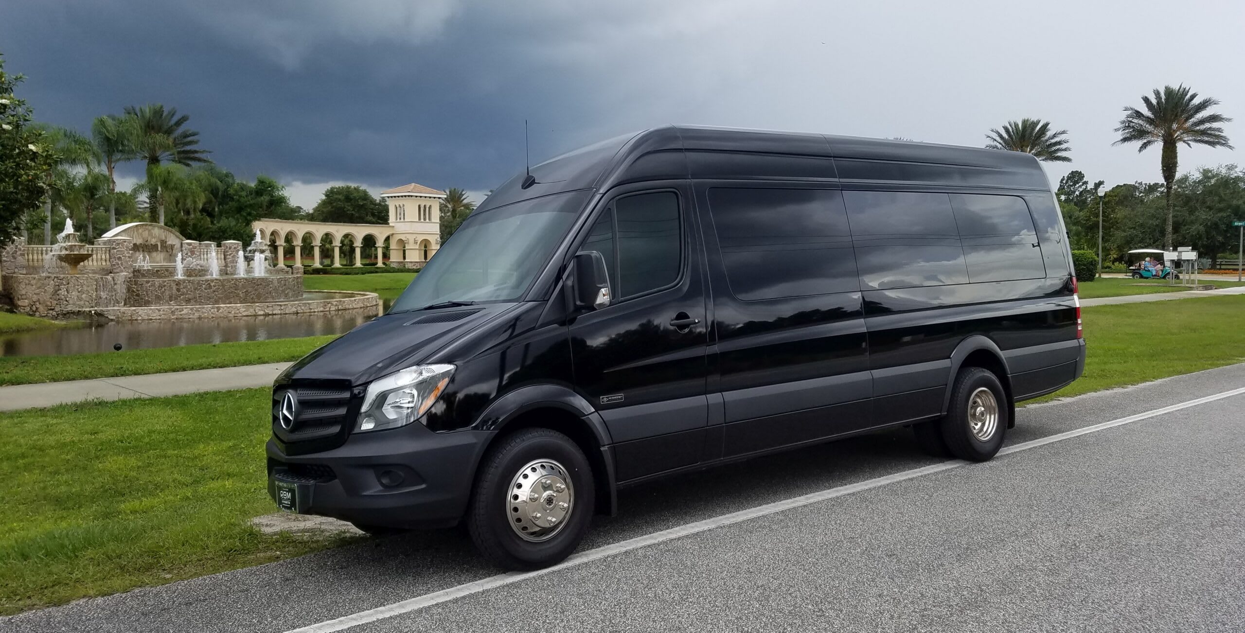 14 Pax Sprinter - Angel Limo Worldwide Transportation
