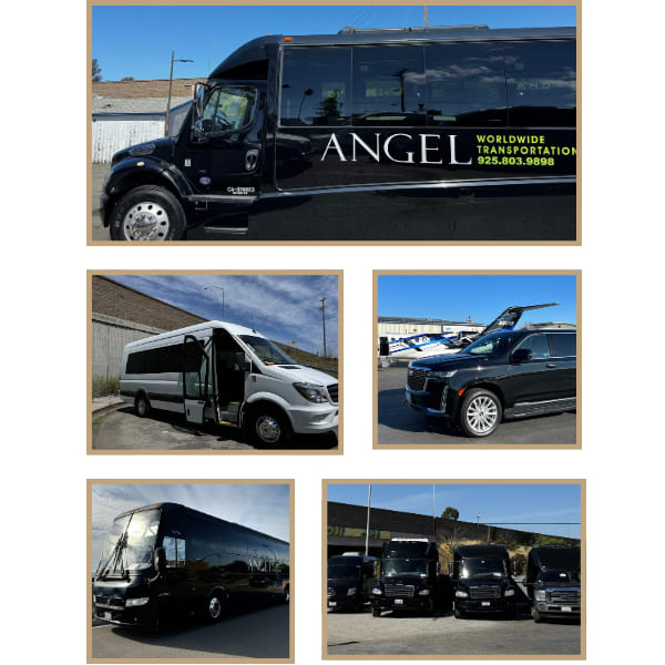 San Francisco Corporate Bus Transportation - Angel Limo Worldwide ...