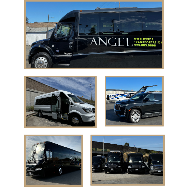 Wedding Transportation San Francisco, CA - Angel Limo Worldwide ...